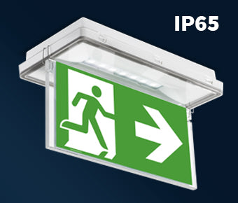 Đèn LED PALAS – hdptech